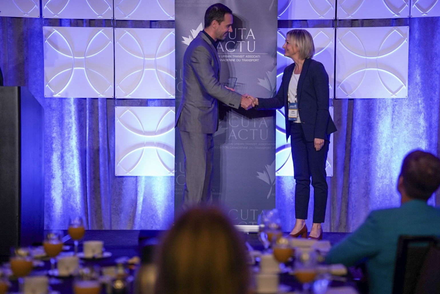 Alstom Wins Environmental Sustainability Award - CUTA